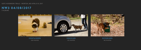 NACSW K9 Nose Work® Event Information Page | Oriole Dog Training Club