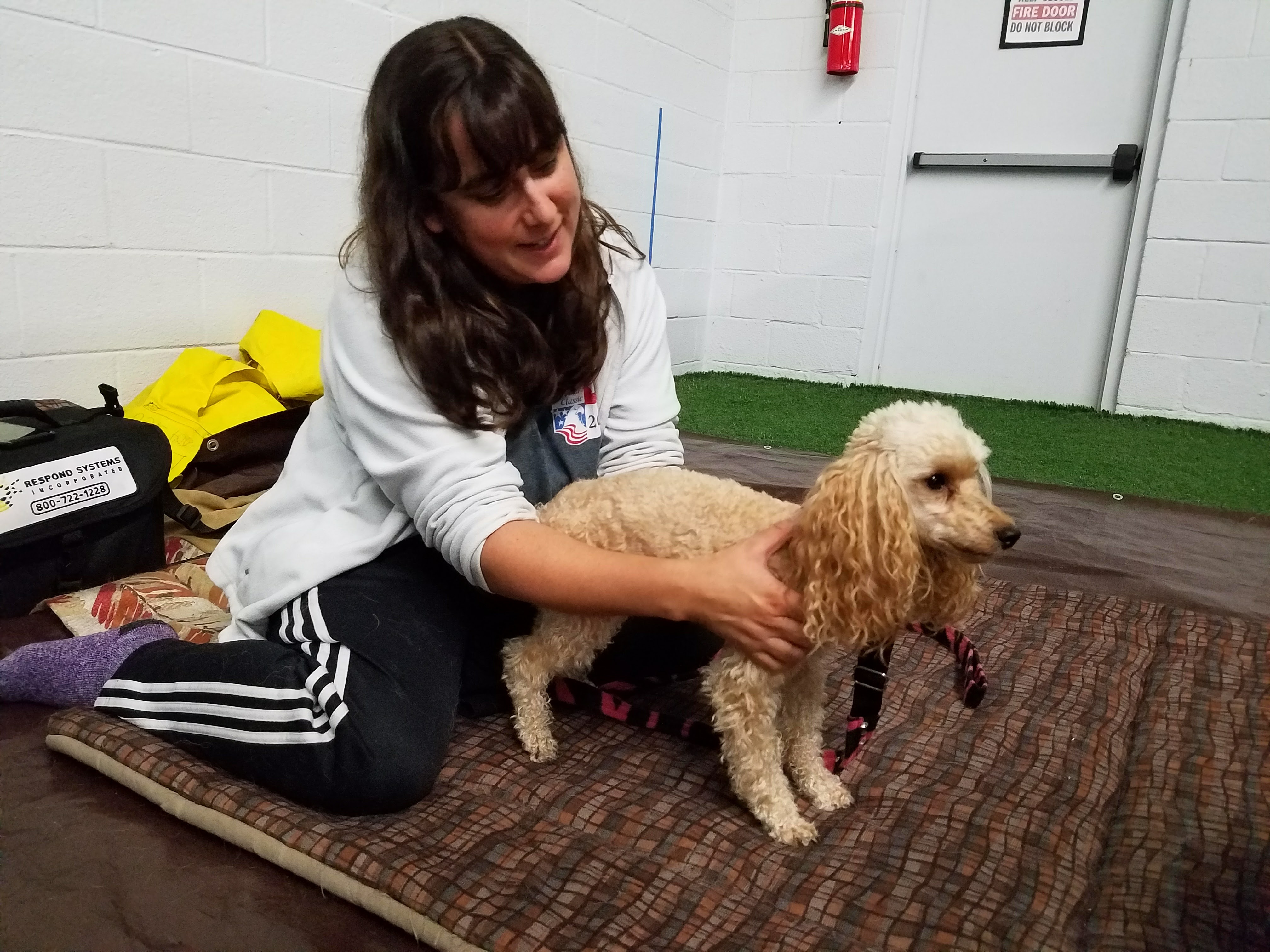 Canine Bodywork Clinic – Lisa DosPassos | Oriole Dog Training Club