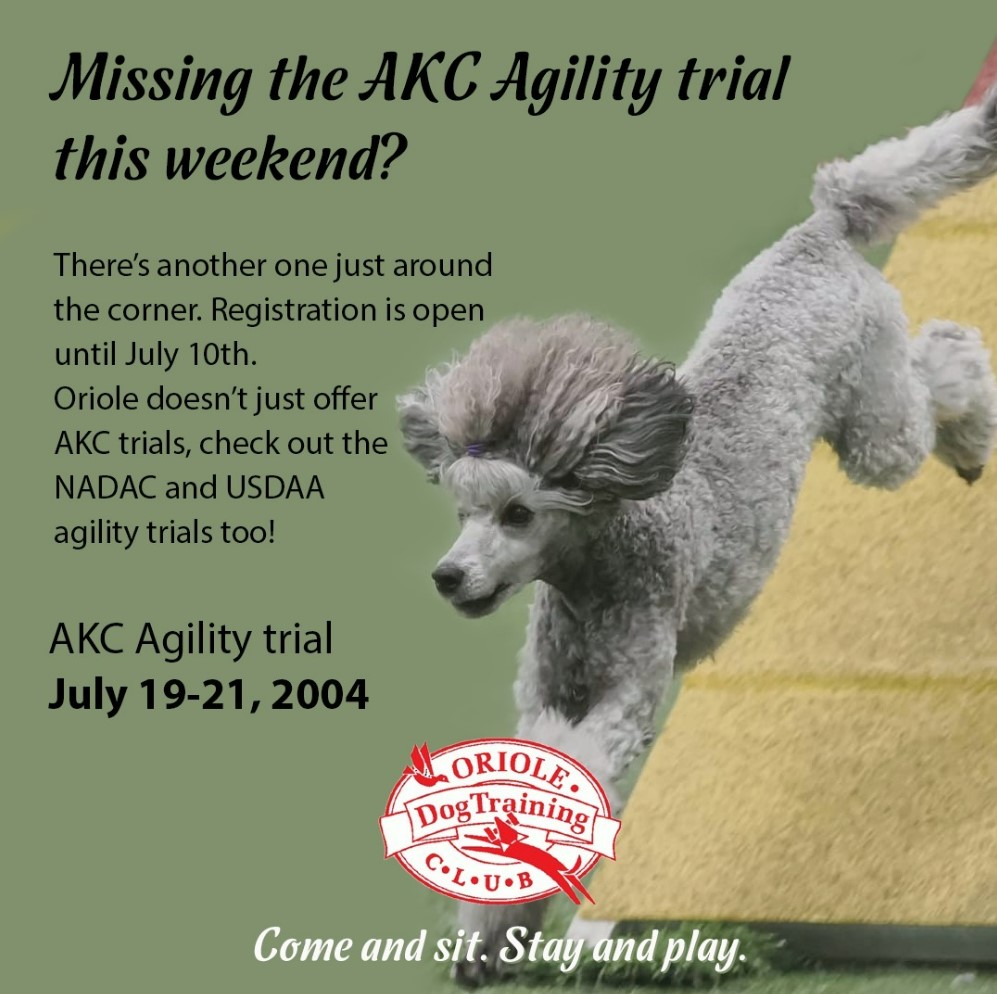07_2024_AKC_Agility | Oriole Dog Training Club